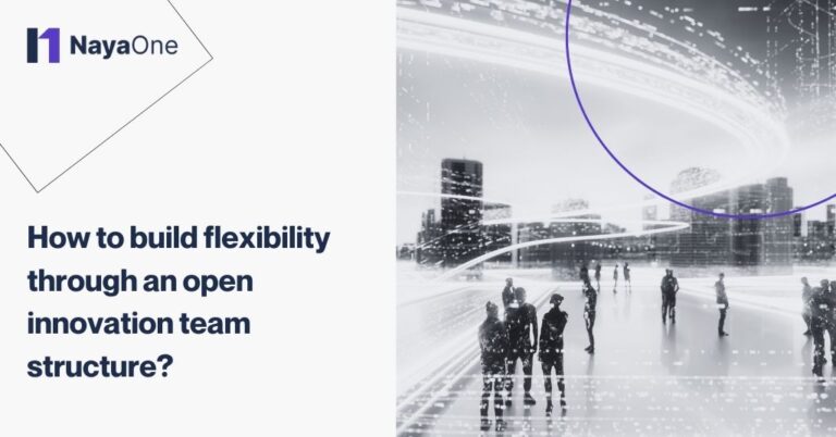 Building Open Innovation Team Structure For Flexibility
